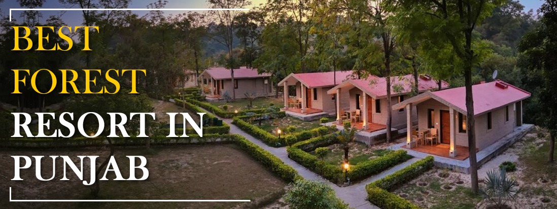 Best Forest Resort in Punjab