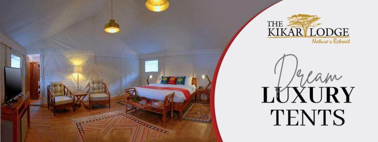 Dream Luxury Tents | Luxury resort in Punjab for holiday- The Kikar Lodge