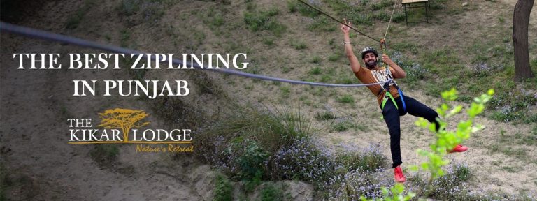 The best Ziplining in Punjab-The Kikar Lodge